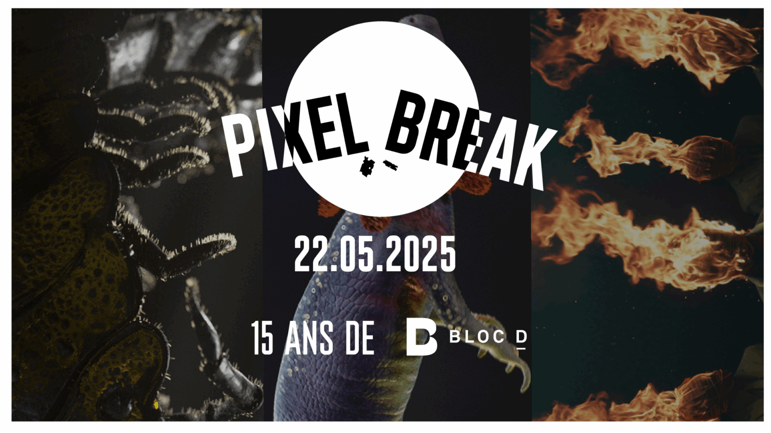 Guichet d'accompagnement professionnel - Pôle PIXEL